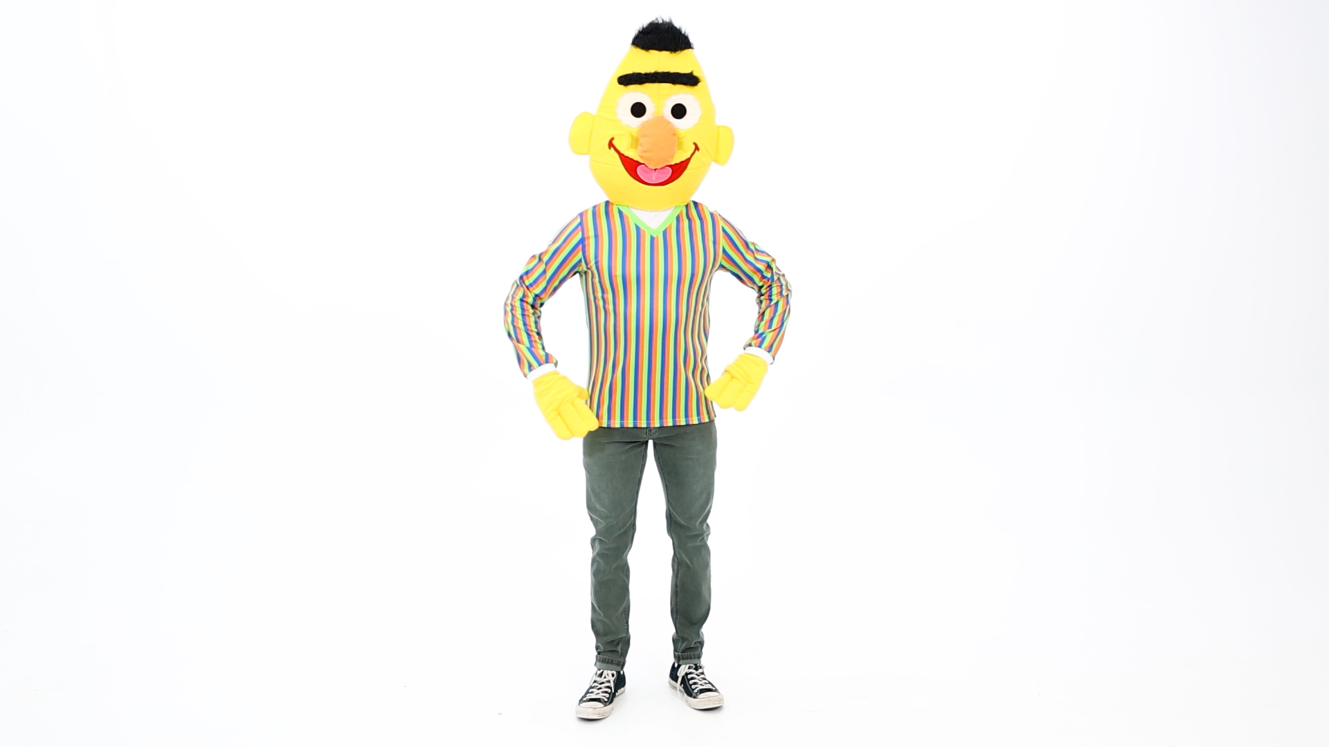 Sesame Street Bert Adult Costume Sesame Street Bert Adult Costume